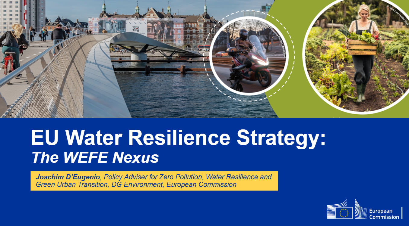 EURO-INBO Parma 2025: EU Water Resilience Strategy: The WEFE Nexus ...