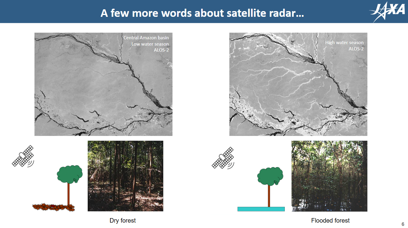 Combining in-situ and satellite monitoring of water and forest ...